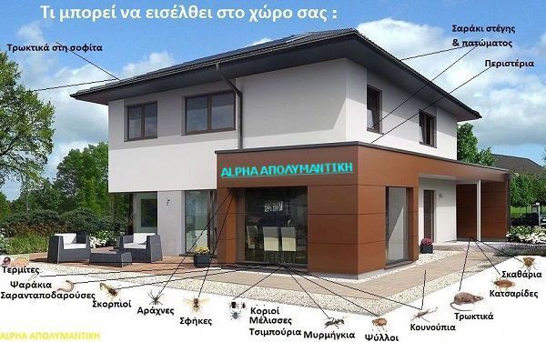 ALPHA ΑΠΟΛΥΜΑΝΤΙΚΗ Products! - ALPHA ΑΠΟΛΥΜΑΝΤΙΚΗ Products